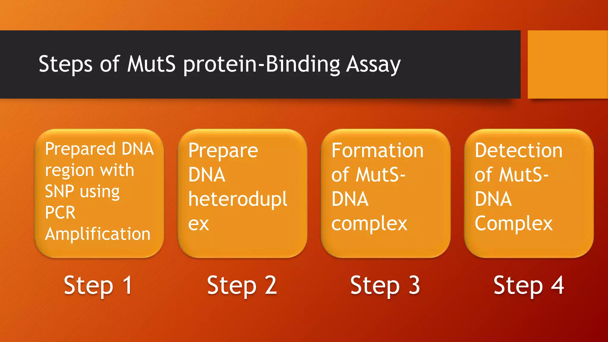 Snp Detection Methods And Applications Pptx
