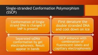 SNP Detection Methods and applications | PPTX