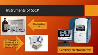 SNP Detection Methods and applications | PPTX