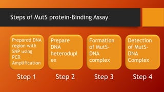 SNP Detection Methods and applications | PPTX