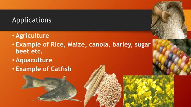 Snp Detection Methods And Applications Pptx