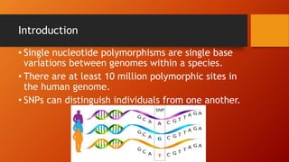SNP Detection Methods and applications | PPTX