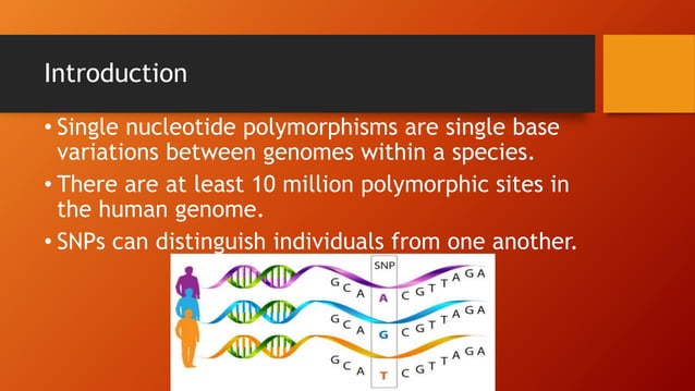 Snp Detection Methods And Applications Pptx