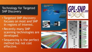 SNP Detection Methods and applications | PPTX