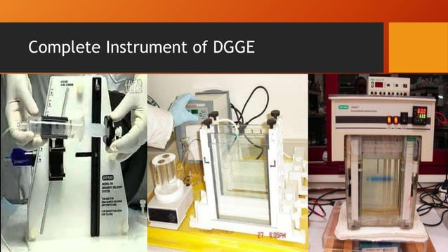 Snp Detection Methods And Applications Pptx