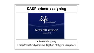 Snp genotyping | PPTX