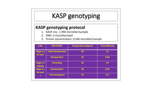 Snp genotyping | PPTX