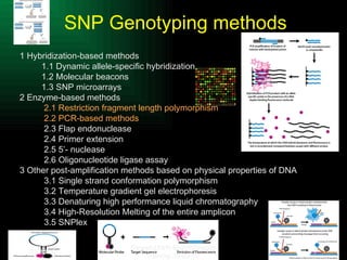 Snp Genotyping Methodlogy Dwr 30 03 10 | PPT