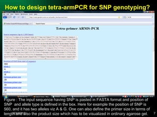 Snp Genotyping Methodlogy Dwr 30 03 10 | PPT