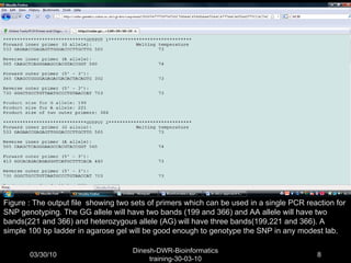 Snp Genotyping Methodlogy Dwr 30 03 10 | PPT