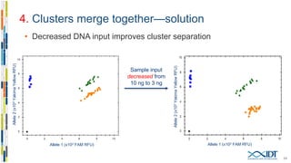 SNP genotyping on qPCR platforms: Troubleshooting for amplification and ...