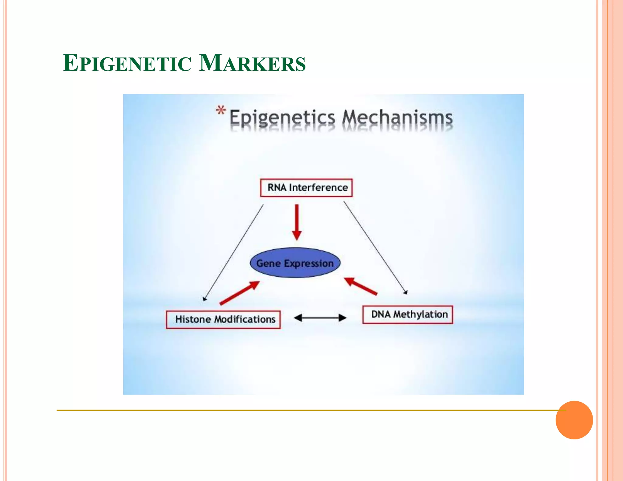 SNP Genotyping Techniques and Epigenetic Markers.pptx