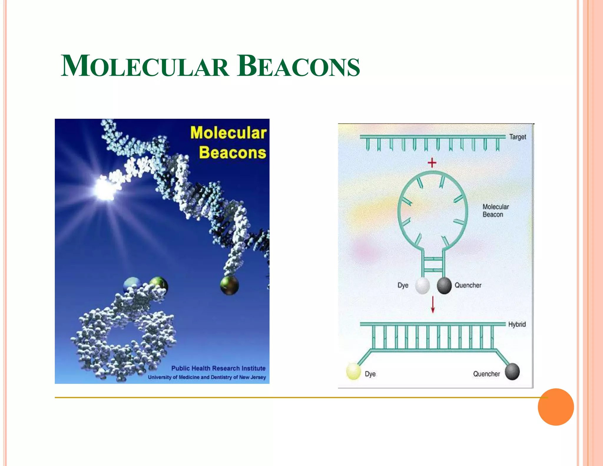 SNP Genotyping Techniques and Epigenetic Markers.pptx