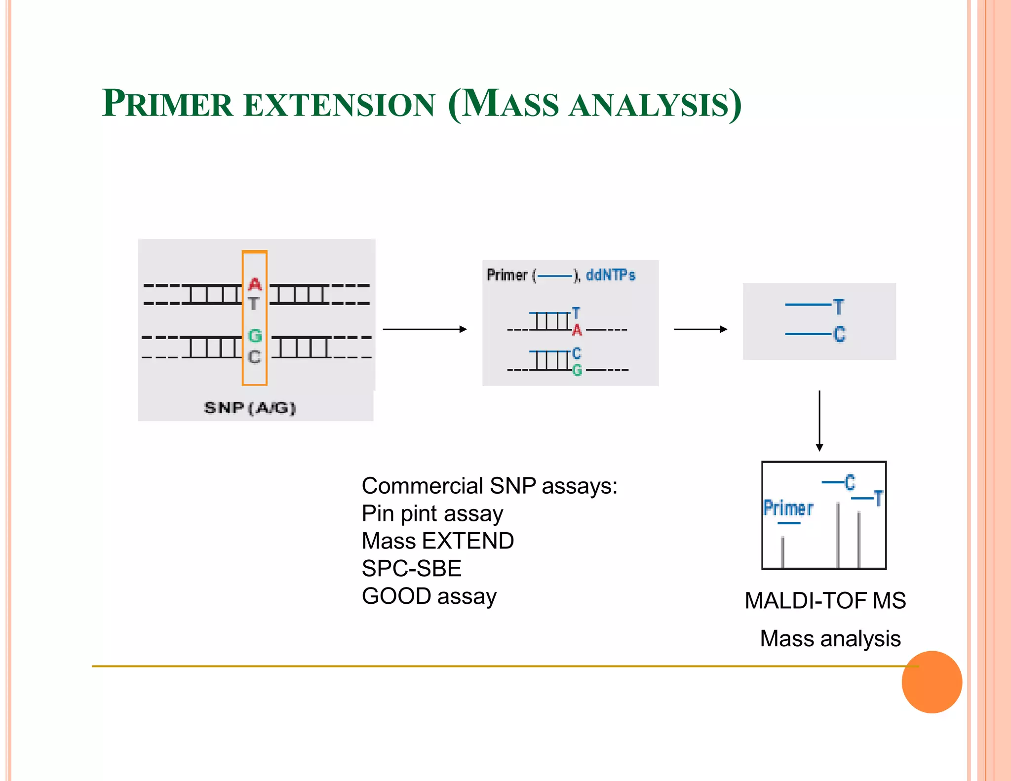 SNP Genotyping Techniques and Epigenetic Markers.pptx