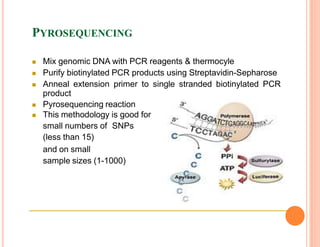 SNP Genotyping Techniques and Epigenetic Markers.pptx