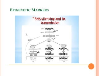 SNP Genotyping Techniques and Epigenetic Markers.pptx