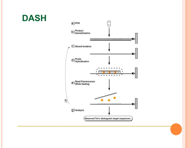 SNP Genotyping Techniques and Epigenetic Markers.pptx