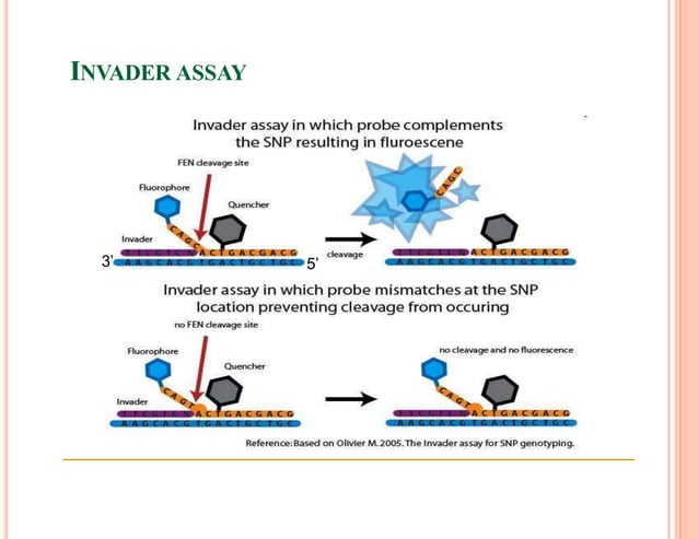SNP Genotyping Techniques and Epigenetic Markers.pptx