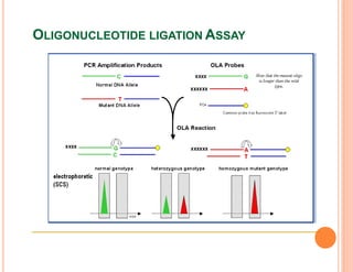 SNP Genotyping Techniques and Epigenetic Markers.pptx