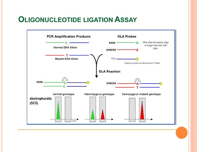 SNP Genotyping Techniques and Epigenetic Markers.pptx