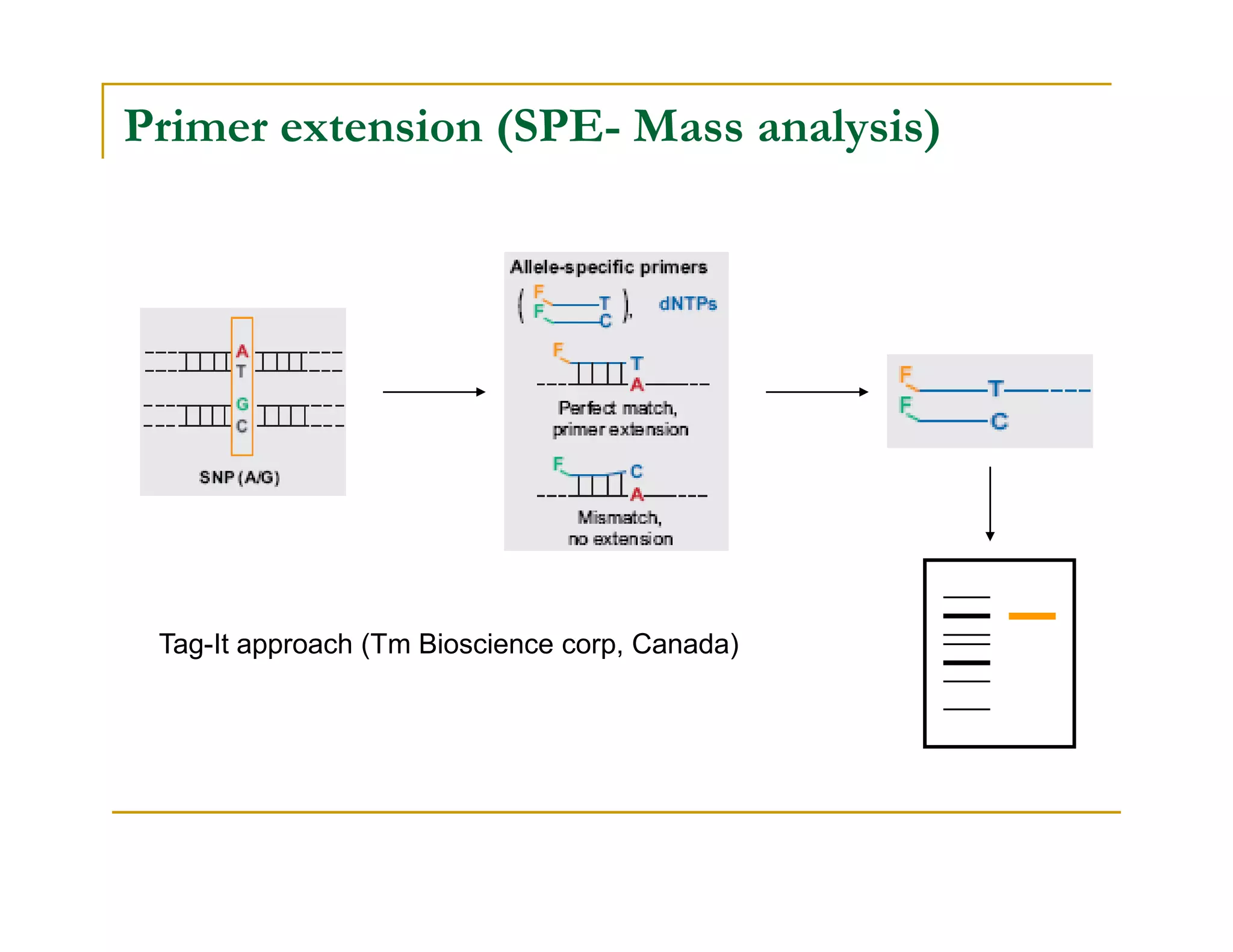 Snp Genotyping Technologies Pdf