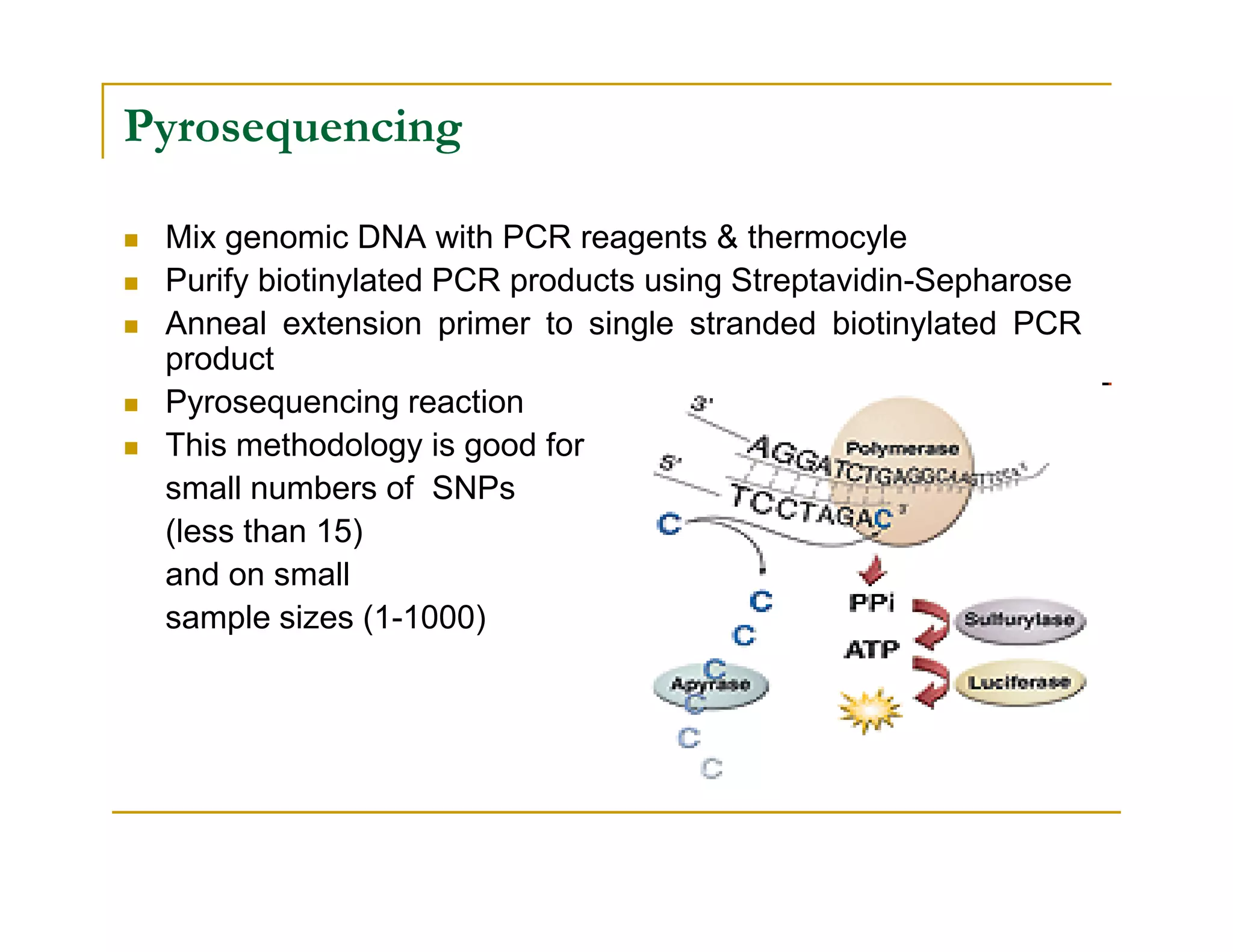 Snp Genotyping Technologies Pdf