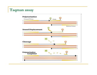 SNP Genotyping Technologies | PDF