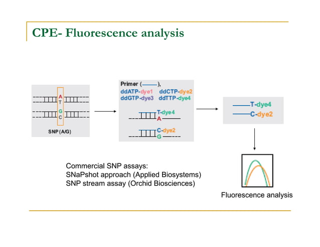 Snp Genotyping Technologies Pdf