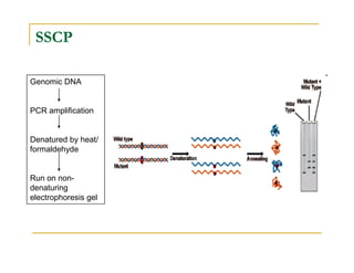 SNP Genotyping Technologies | PDF