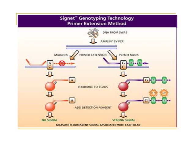 Snp Genotyping Technologies Pdf