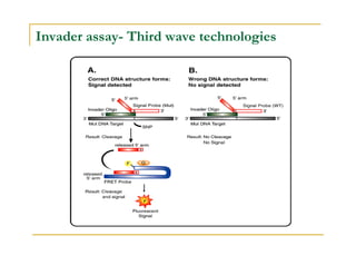 SNP Genotyping Technologies | PDF