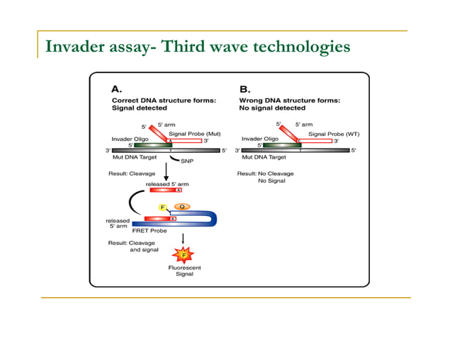 SNP Genotyping Technologies | PDF