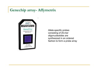 SNP Genotyping Technologies | PDF