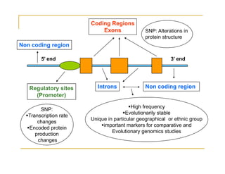 SNP Genotyping Technologies | PDF