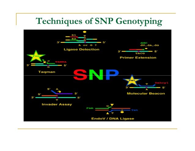 SNP Genotyping Technologies