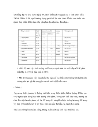 Sản phẩm sữa chua hoa quả | DOCX