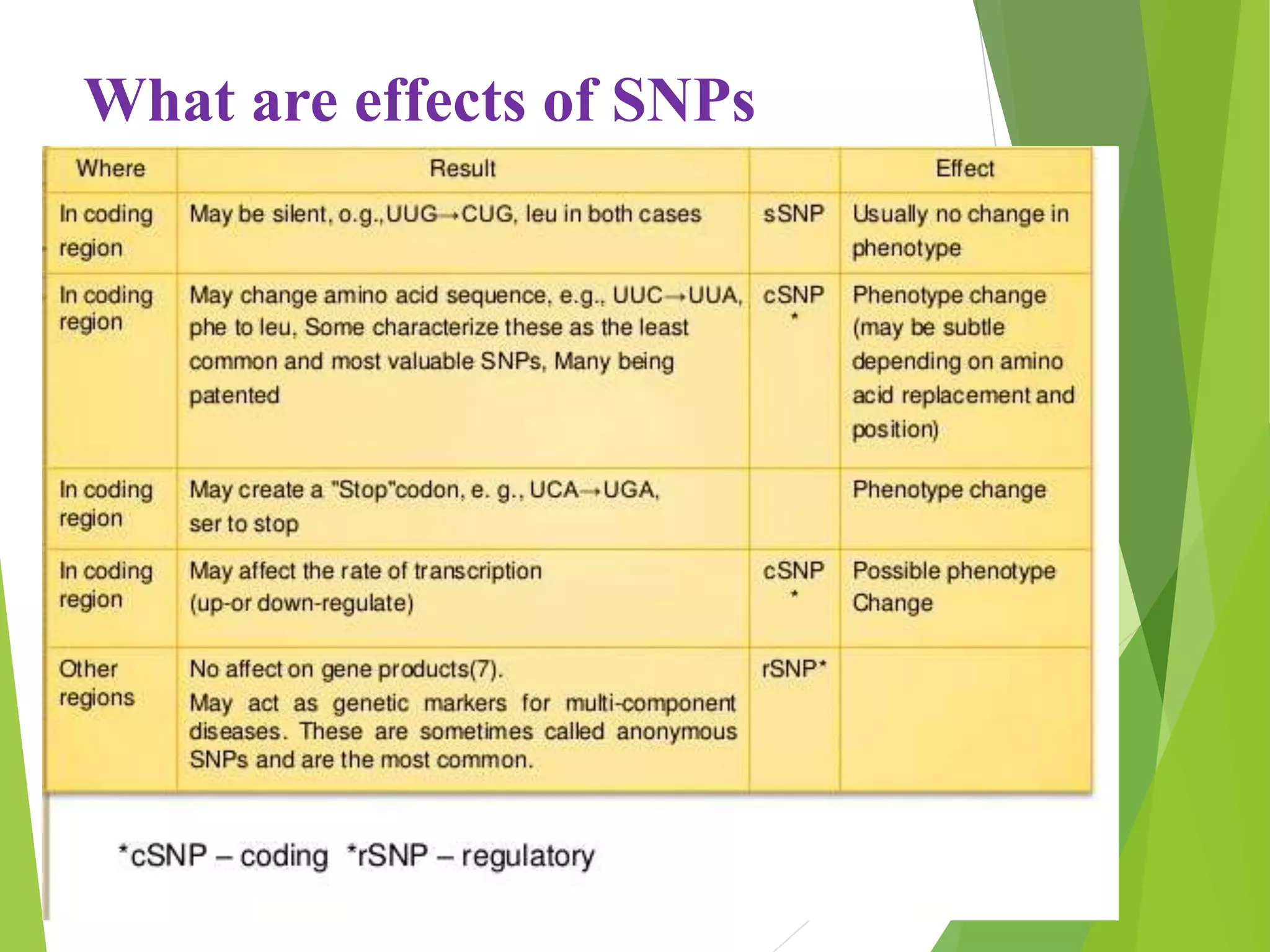 SNP ppt.pptx