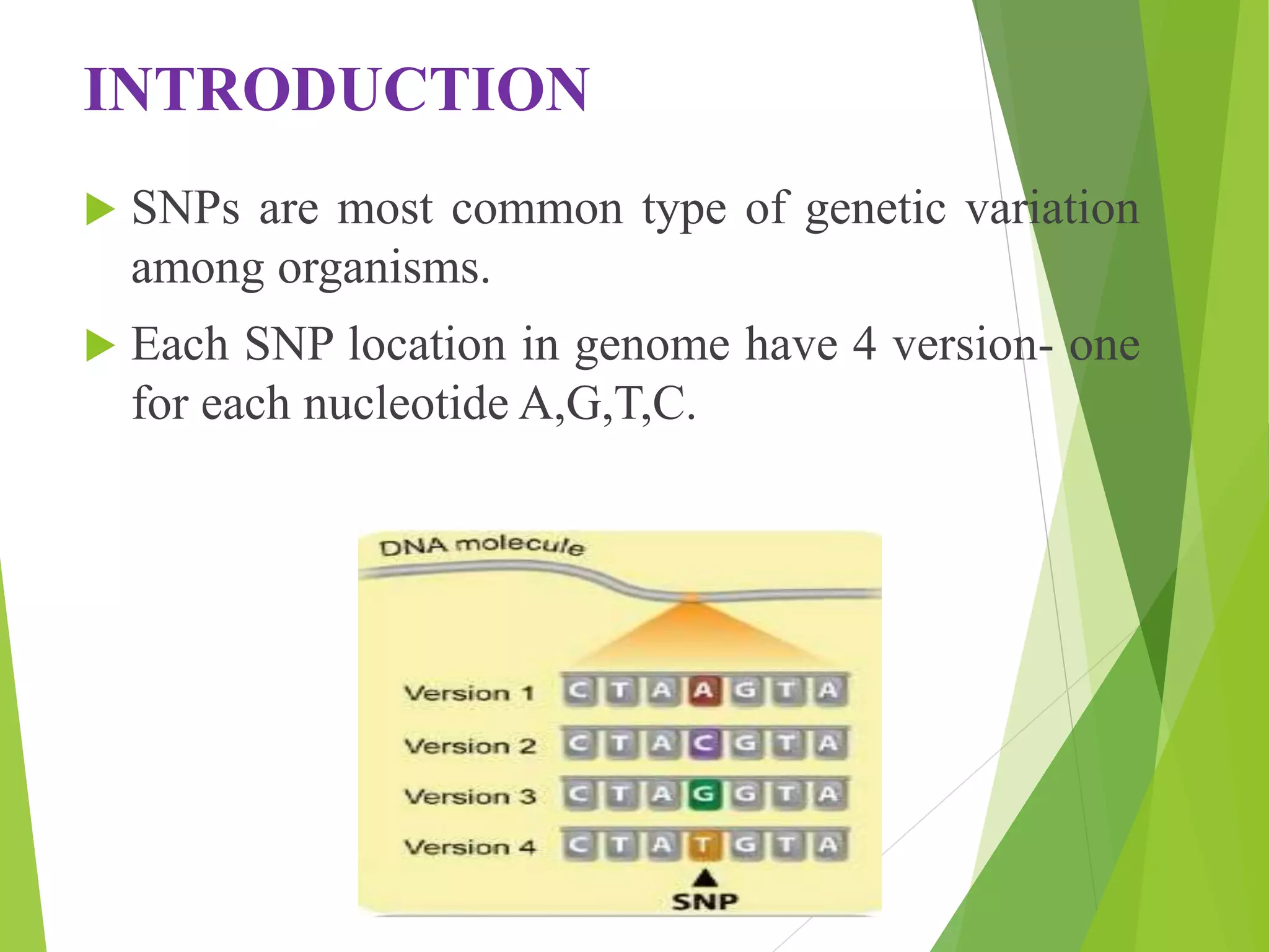 SNP ppt.pptx