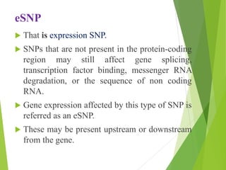 SNP ppt.pptx