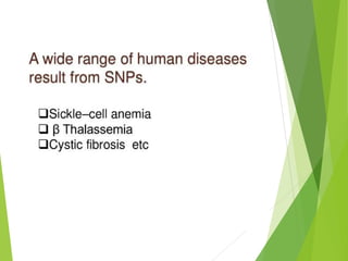 SNP ppt.pptx