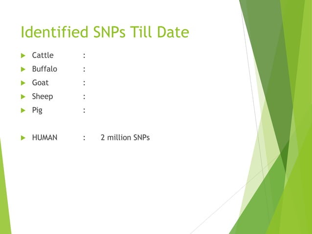 SNP ppt.pptx