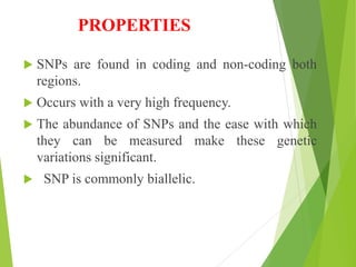 SNP ppt.pptx