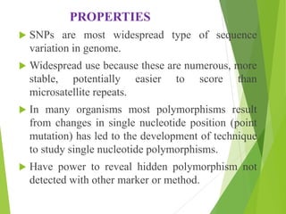 SNP ppt.pptx
