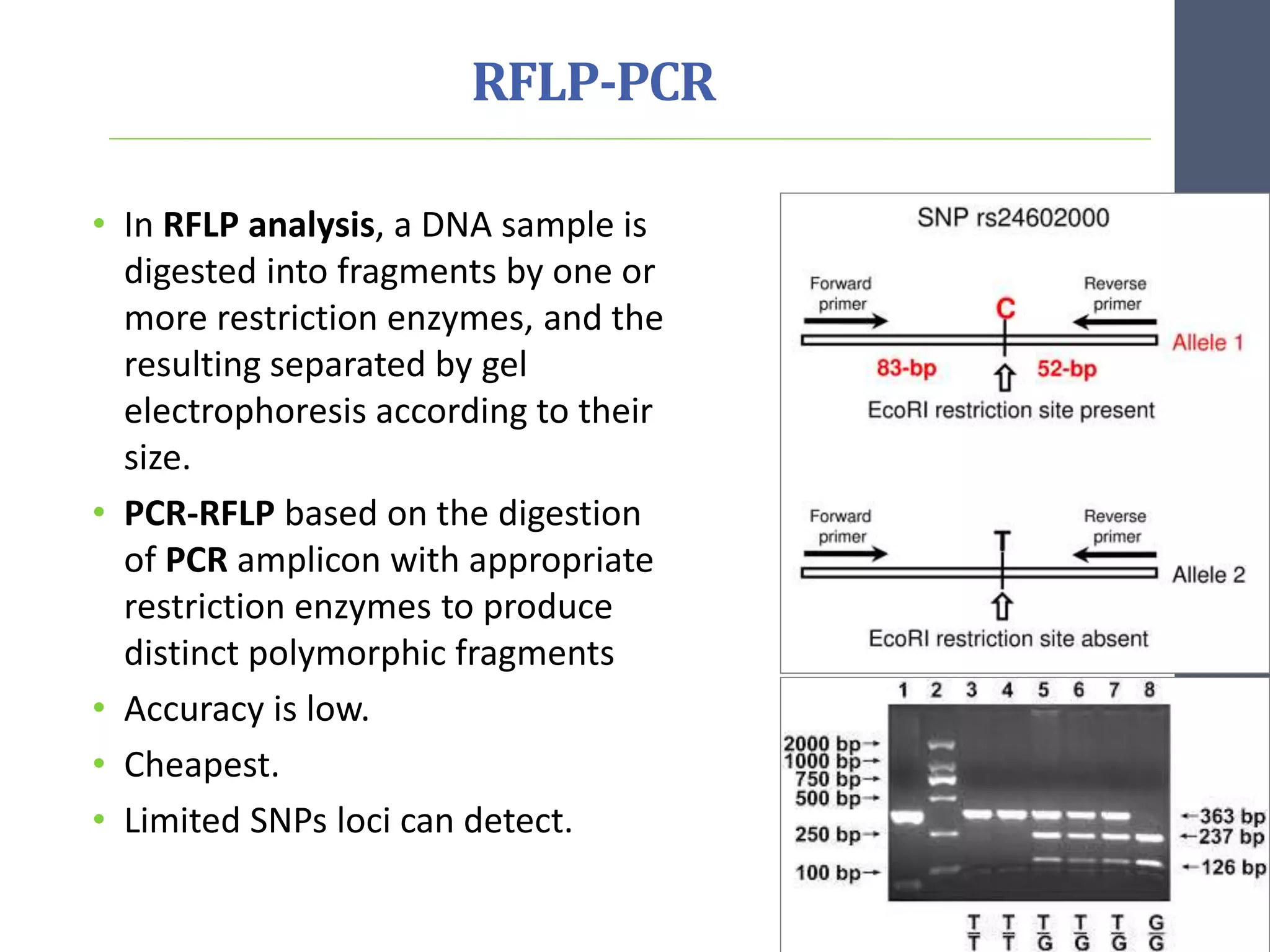 SNPs analysis methods | PPTX