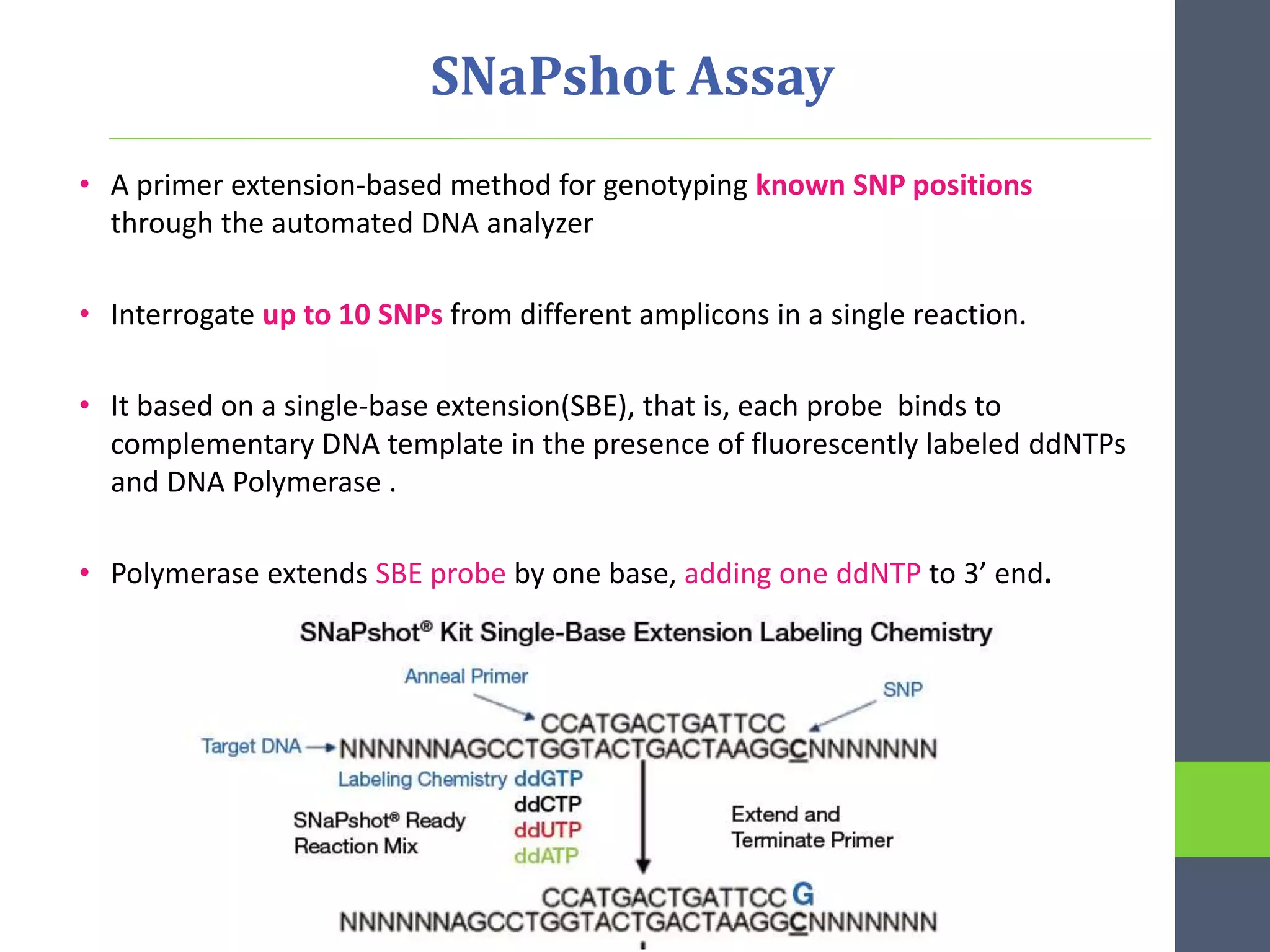 SNPs analysis methods | PPTX