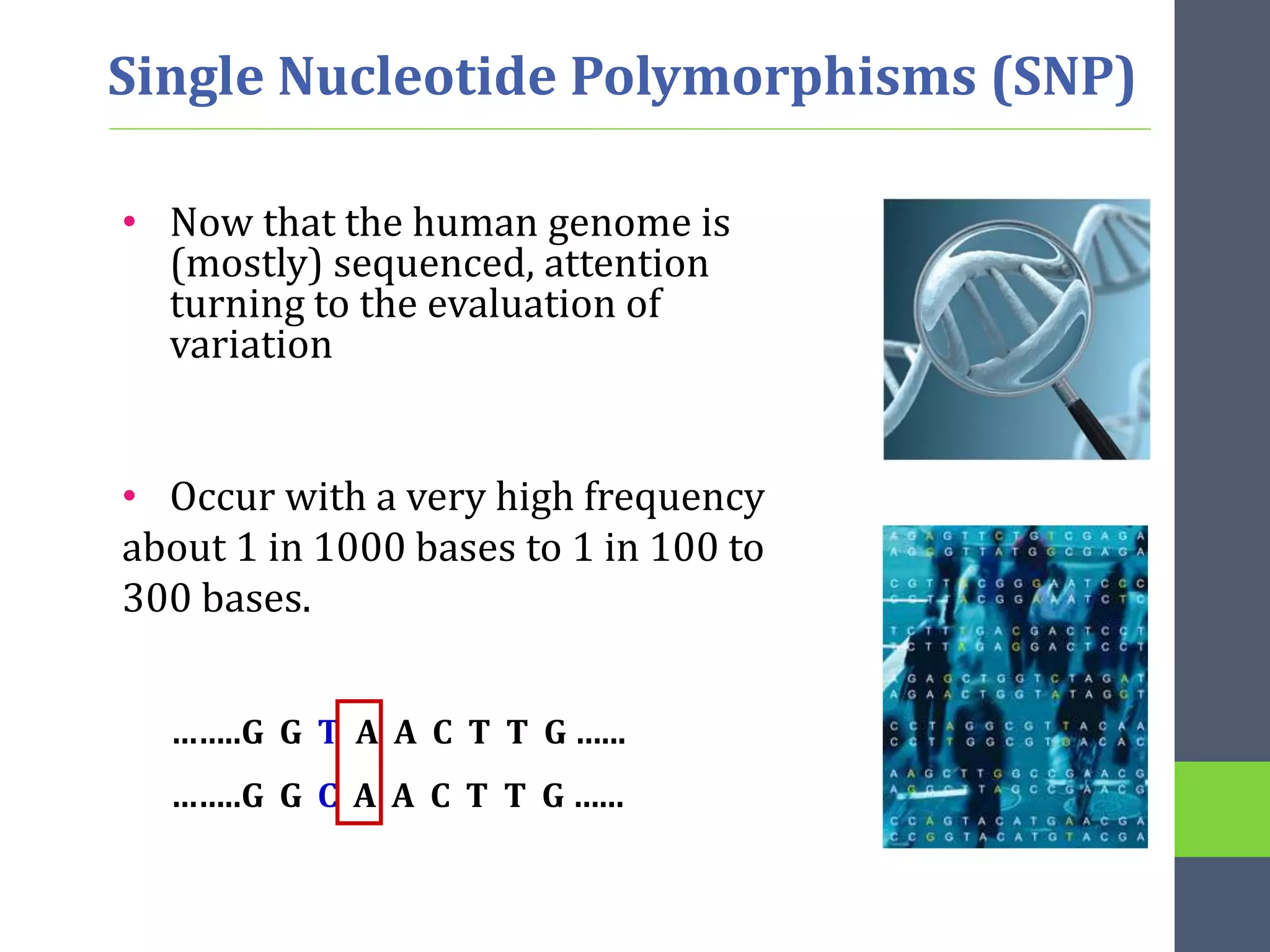 SNPs analysis methods | PPTX