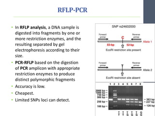 SNPs analysis methods | PPTX