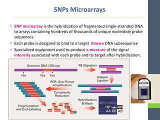 SNPs analysis methods | PPTX
