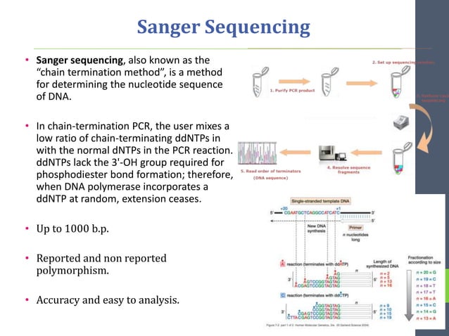 SNPs analysis methods | PPTX