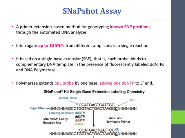 SNPs analysis methods | PPTX